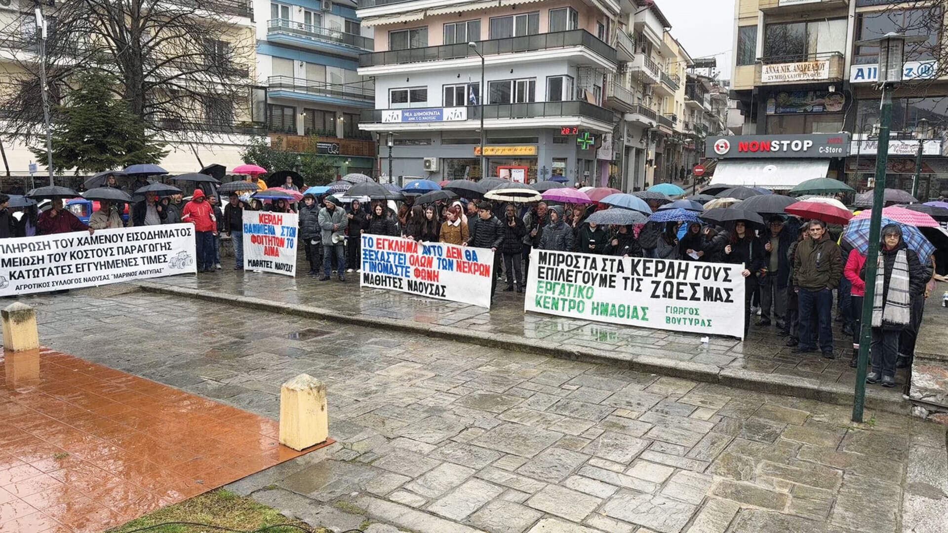 ΑΠΕΡΓΙΑΚΗ ΣΥΓΚΕΝΤΡΩΣΗ ΣΤΗ ΝΑΟΥΣΑ: ΔΕΝ ΞΕΧΝΑΜΕ ΤΟΥΣ ΝΕΚΡΟΥΣ ΣΤΑ ΤΕΜΠΗ ...