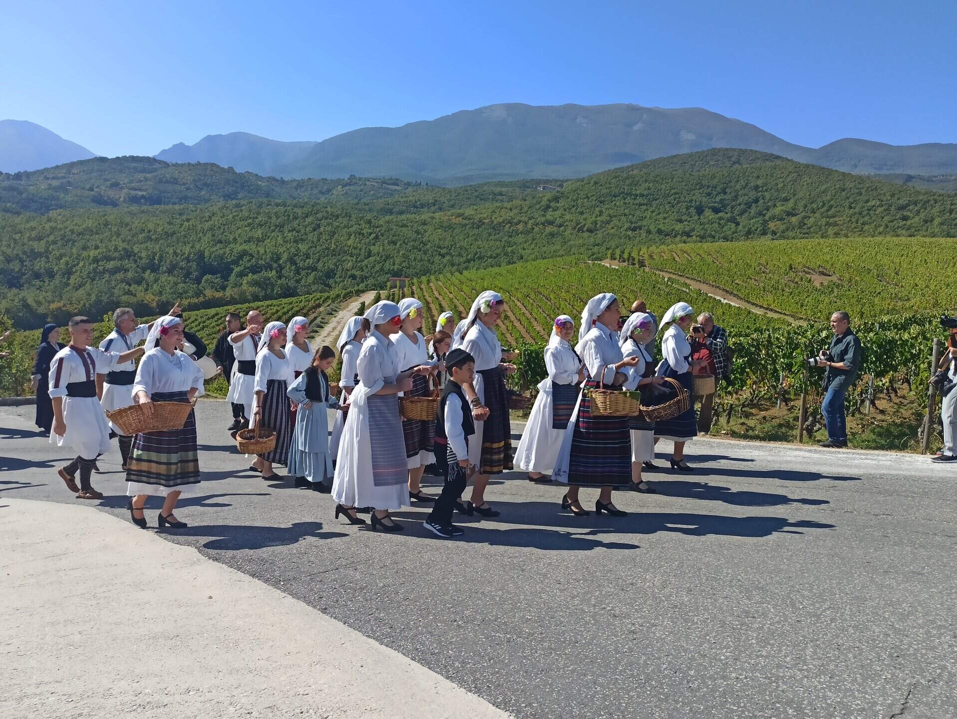 Αναπαράσταση παραδοσιακού τρύγου, επισκέψεις σε οινοποιεία, μουσικές ...